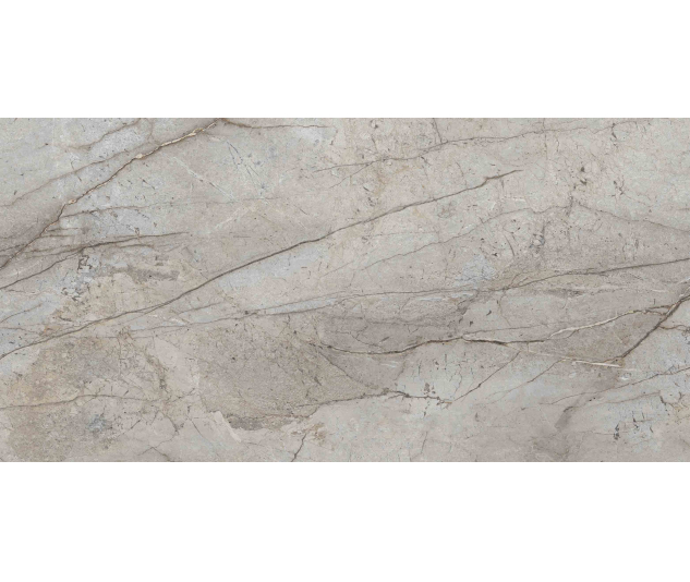 Купить керамогранит Essence Grey NPLUS 60x120 R